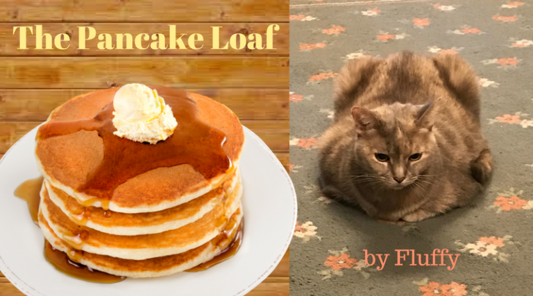 The Pancake Loaf by Fluffy - Kitty Loaf