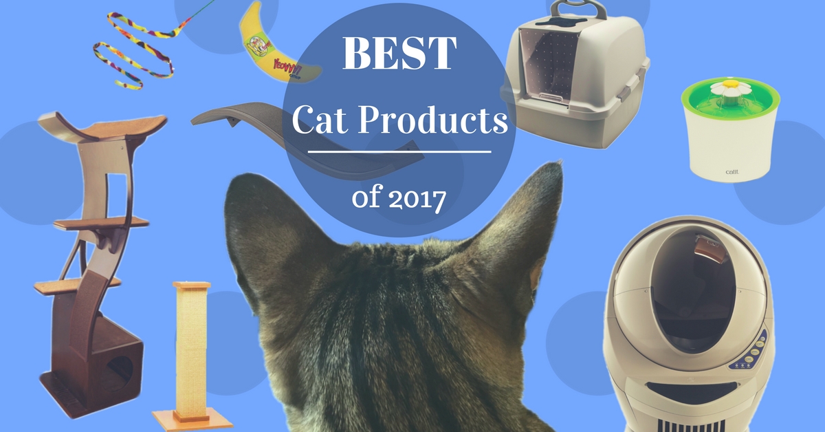 Best Cat Products Of 2017 Kitty Loaf best-cat-products-of-2017-kitty-loaf